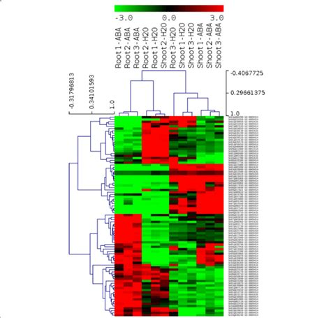 Heat Map Showing Differential Gene Expression Based On Sorghum Rna Seq