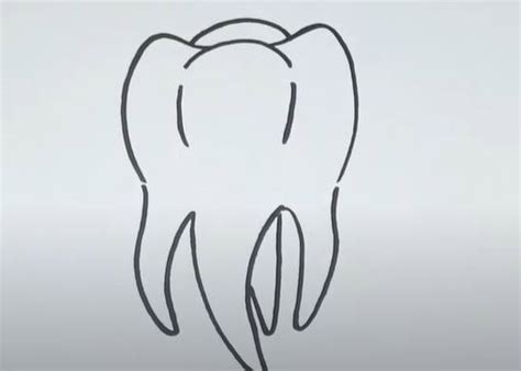 Tooth Drawing Step By Step Tutorial