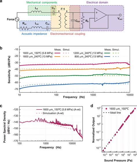 Acoustic Response Of The High‐fidelity Skin‐attachable Acoustic Sensor