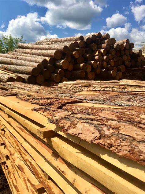 Sanctions Impact On Lumber Exports 2023 Is It Checkmate Or A Knights Move For The Russian