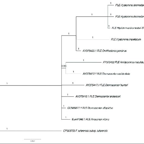 Bayesian Markov Chain Monte Carlo Analysis Based On Combining Sequence
