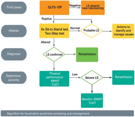 Scielo Brasil Algorithm For Screening And Management Of Locomotive