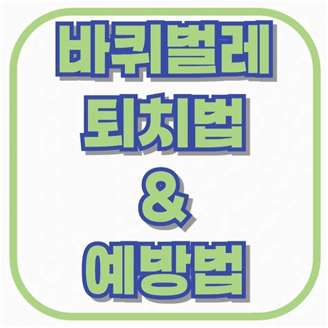 집에 바퀴벌레 나왔다면 종류별 퇴치법과 절대 다시 안 나타나게 하는 예방법 총정리