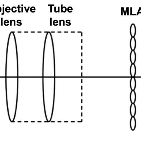 Schematic Of The Light Propagation Process Of A Light Field System Download Scientific Diagram