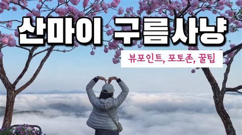 달랏 구름사냥 천국에 다녀왔습니다 🫢 산마이 구름사냥 랑비앙산 달랏기차역 Youtube