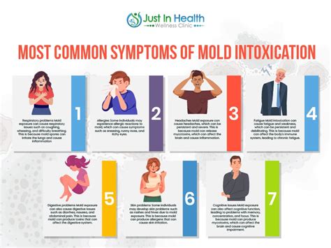 Mold And Mycotoxins Undetected Dangers