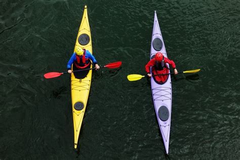 The Definitive Guide To Different Types Of Kayaks Paddle Seer