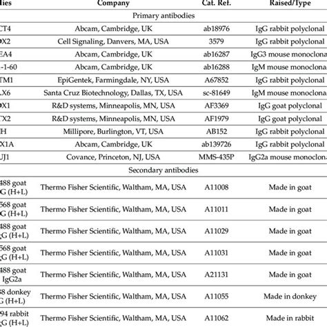 List Of Used Growth Factors Inhibitors And Small Molecules For