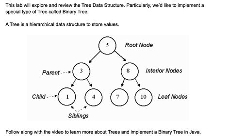 Solved This Lab Will Explore And Review The Tree Data Chegg