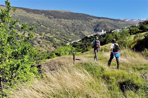 Ocupaciones Estratégicas Para La Transición Ecológica Centradas En El