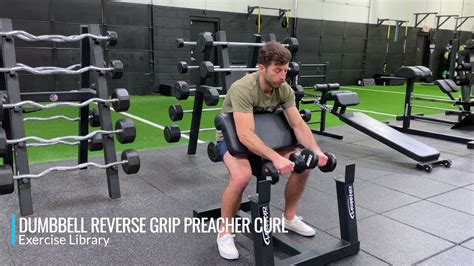 Reverse Preacher Curl