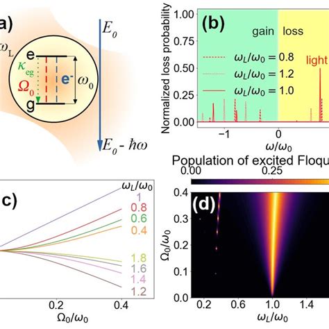 free electron interaction with an illuminated two level atom a