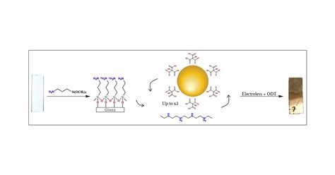 From Glass To Gold Visualization Of Electrostatic Self Assembly Of Gold Nanoparticles Journal