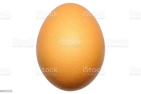 흰색 배경에 격리된 갈색 닭고기 달걀 하나를 닫습니다 부활절 달걀 단일 암탉 생 계란 자연 영양 식품 건강 성분 식사 단백질 제품 0명에 대한 스톡 사진 및 기타 이미지