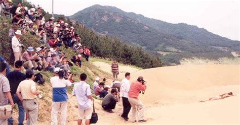 신안에서 제2회 세미누드 사진촬영 대회 개최