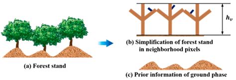 A Fourierlegendre Polynomial Forest Height Inversion Model Based On A
