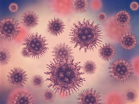 Jenis Jenis Virus Yang Mudah Ditemukan Agm Medica
