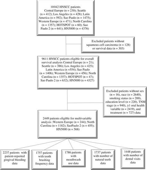 Leah Leinbach Dmd Mph On Linkedin Poor Oral Health Influences Head
