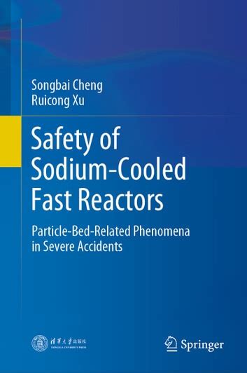 Safety Of Sodium Cooled Fast Reactors Ebook By Songbai Cheng Epub Rakuten Kobo 9789811661167