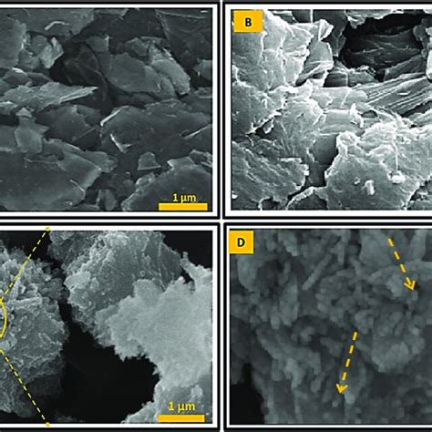 Sem Image Of Sample Rgo G1 And Ag Rgo G2 Download Scientific Diagram
