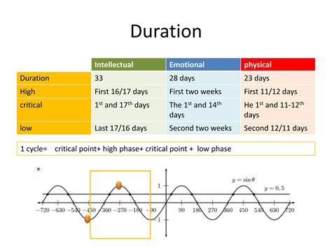 Biorhythms Pptx Biological Sciences Science