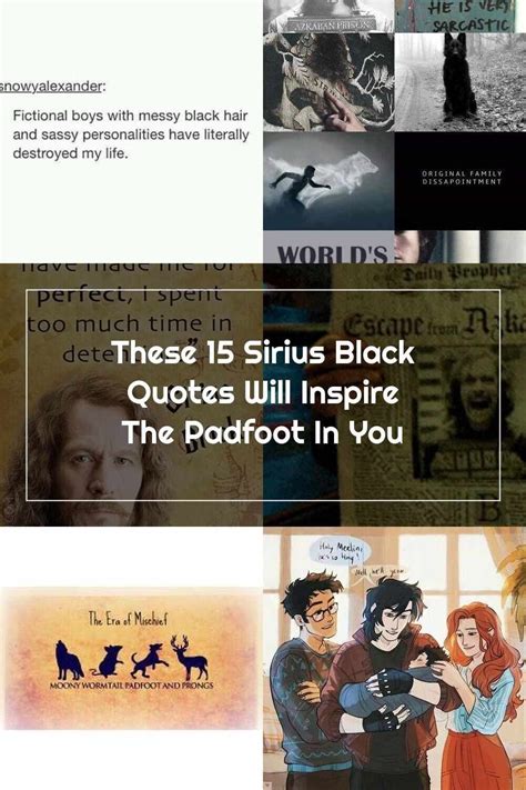 Wormtail Sirius Black Quotes About