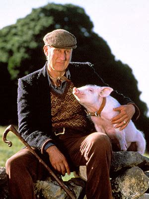The Jane Austen Film Club Babe 1995