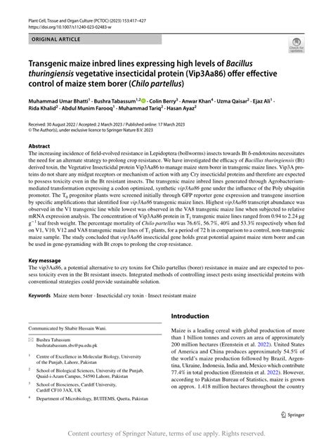 Transgenic Maize Inbred Lines Expressing High Levels Of Bacillus