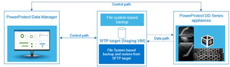 Data Protection For PowerStore With PowerProtect DD Series Appliances Dell Technologies Info Hub