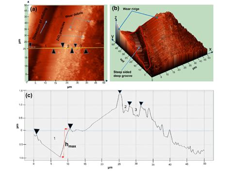 Afm Results Indicating The Worn Surface Profile With X Axis Direction
