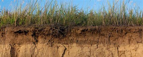 Understanding Soil Their Layers Spray Grass Australia