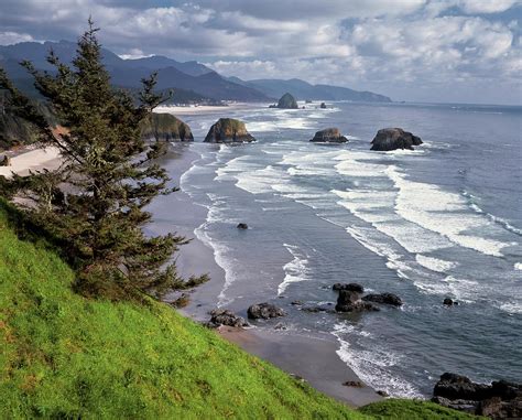 Magnificent View From Ecola State Park Of Distant Haystack Rock At