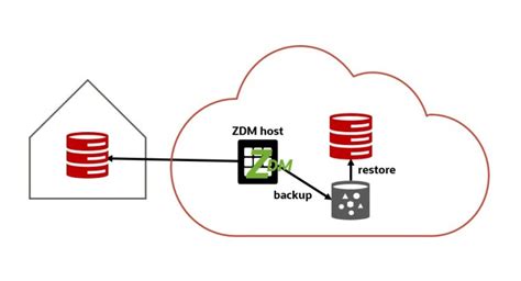 Part 5 5 Zero Downtime Migration Zdm Physical Offline Migration Using Rman Database Heartbeat