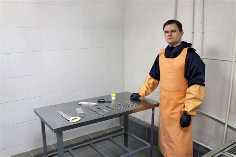 Судебная ветеринарная экспертиза в Международной Ветеринарной Академии