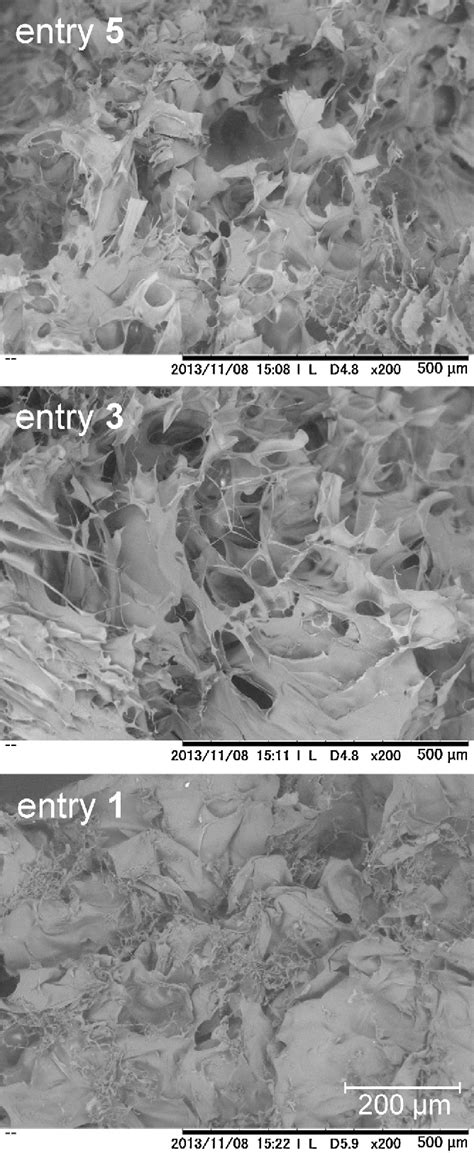 Figure 4 From Characterization And Properties Of Carboxymethyl Cellulose Hydrogels Crosslinked