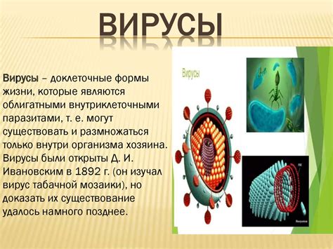 Внеклеточные формы жизни вирусы и бактериофаги презентация онлайн