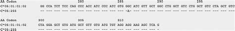 alignment of the sequence of exon 5 of hla‐c 05 255 with the sequence
