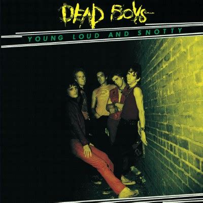 The Best American Punk Bands Xs Rock