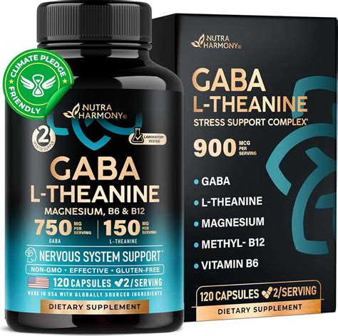 Best Gaba Supplements For 2025