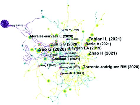Reference Analysis Of Electrochemical Biosensors In Sars Cov 2 Detection Download Scientific