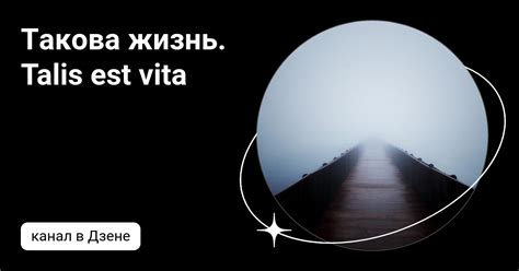 Такова жизнь. Talis est vita | Дзен