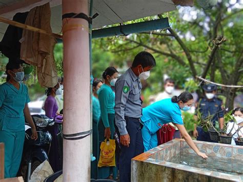 ပလောက်မြို့၌ သွေးလွန်တုပ်ကွေးရောဂါကြိုတင်ကာကွယ်ရေးလုပ်ငန်းများ ဆောင်ရွက