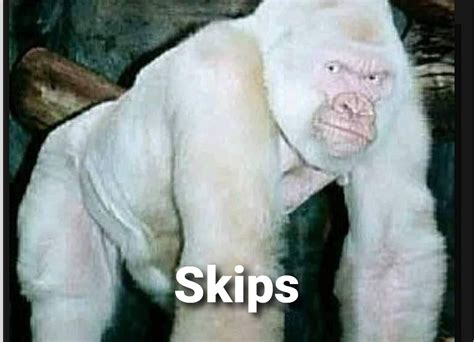 Skips R Hardimages