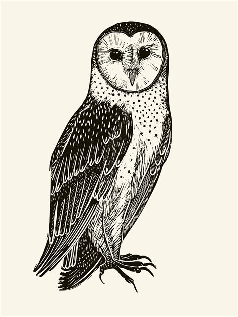 Barn Owl Block Print Etsy