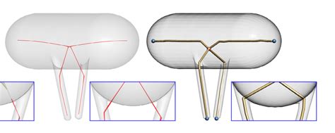 How To Get Simpler Skeleton On The Skeletonize Result Issue Navis Org Skeletor Github