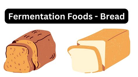 Principles Of Food Preservation Biology Notes Online