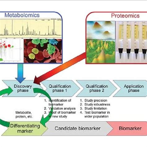 Application Of Omics Techniques In Biomarker Discovery Omics Download Scientific Diagram