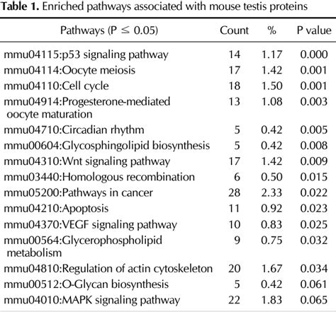 Table 1 From An Integrated Bioinformatics Analysis Of Mouse Testis Protein Profiles With New