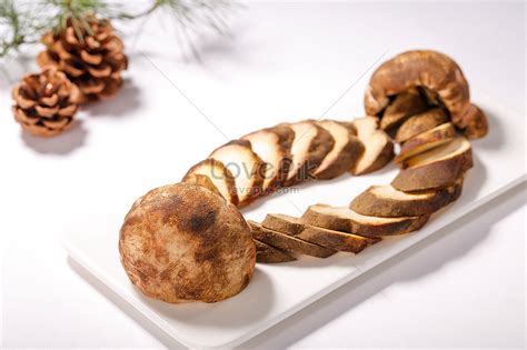 Fungus Picture And Hd Photos Free Download On Lovepik