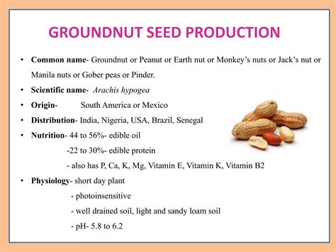 Seed Production In Groundnut Ppt Pptx